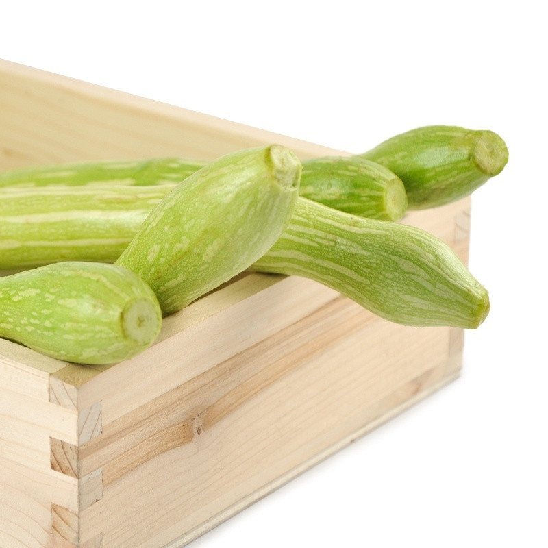 Buy Courgettes Trombetta, 1 kg