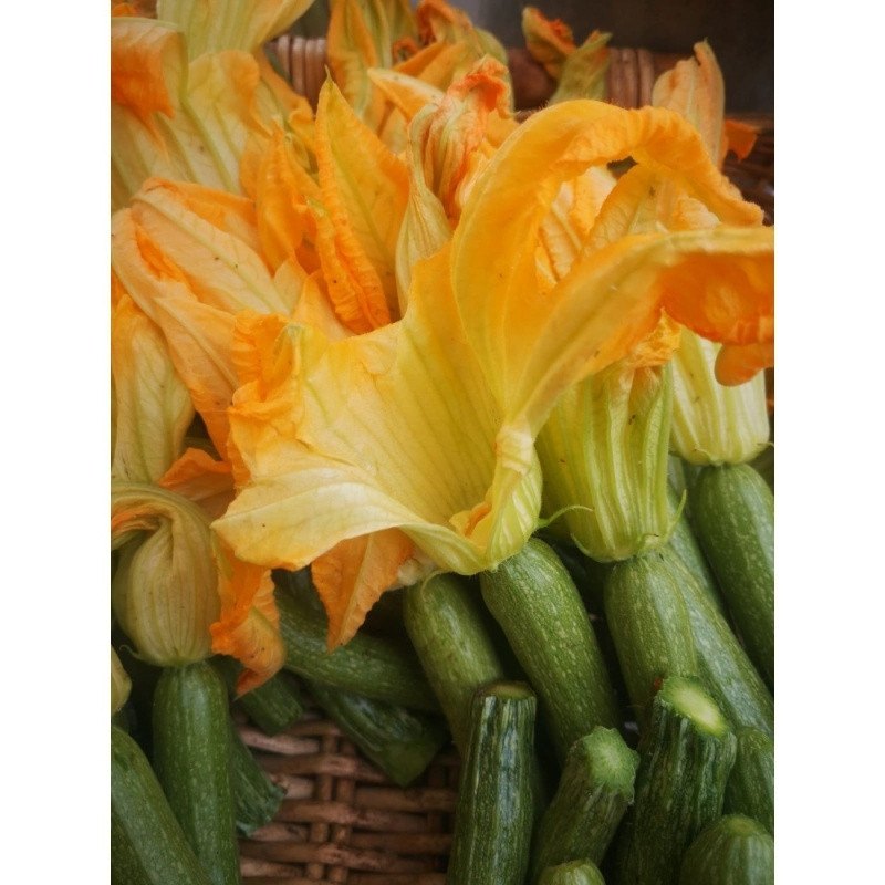 Buy Genoese courgettes, 1 Kg
