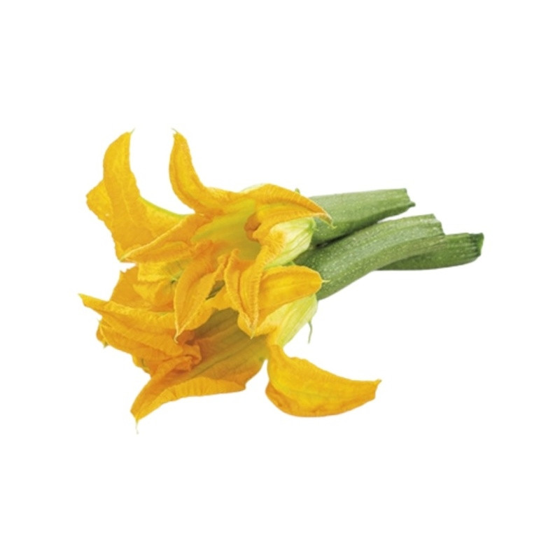 Buy Genoese courgettes, 1 Kg
