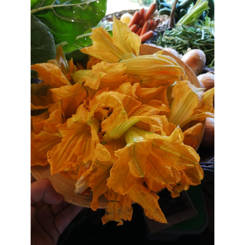 Buy Genoese courgettes, 1 Kg